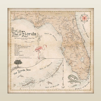 FRAMED MAP OF FLORIDA – Royale Maps Cartography